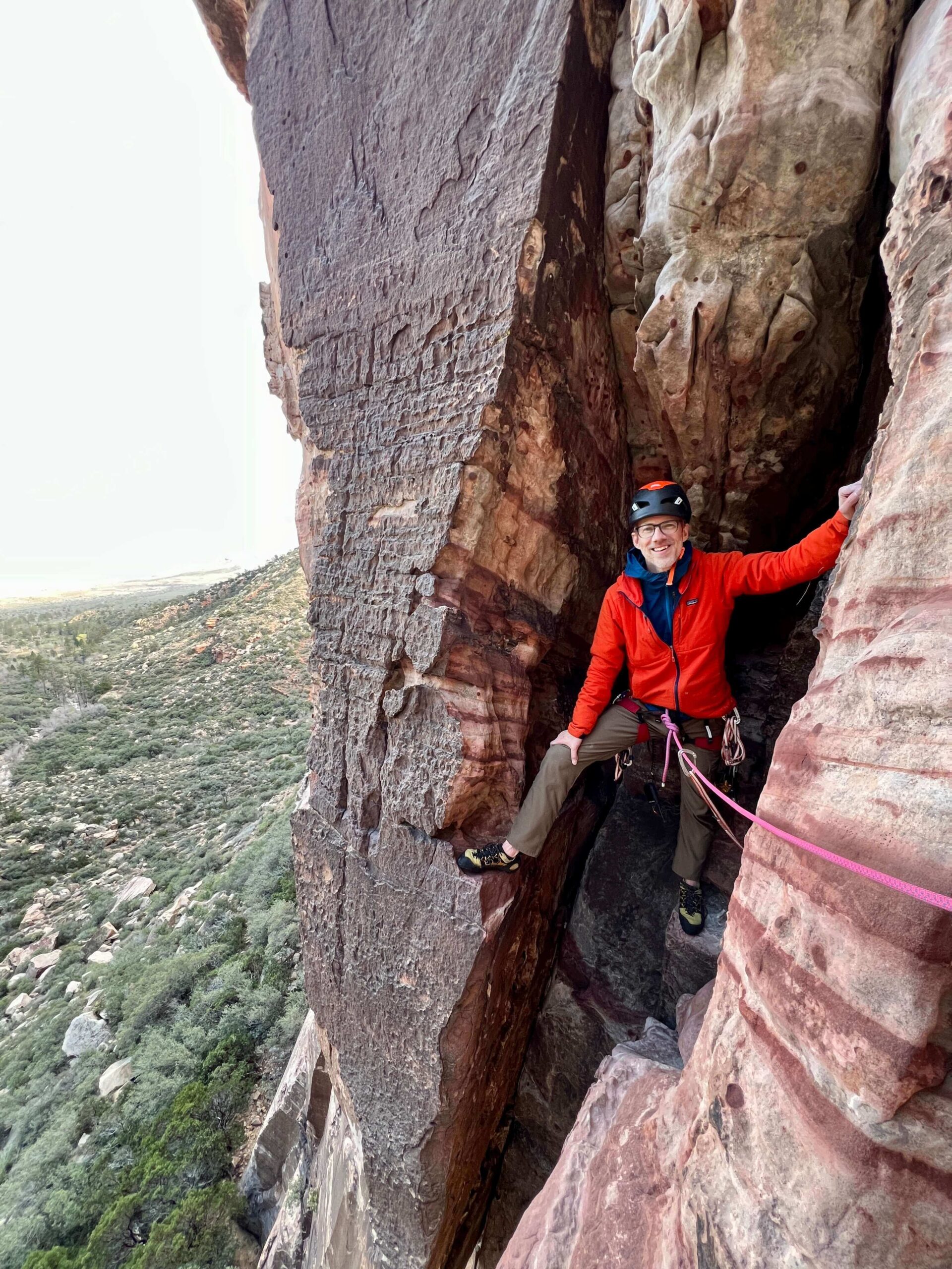 Consulting - Willow Tree Wellness